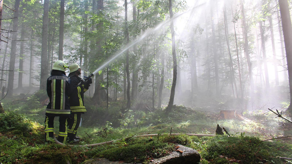 Forest Fire Drill 2017 je cvičení tří zemí, simulován je velký lesní ...